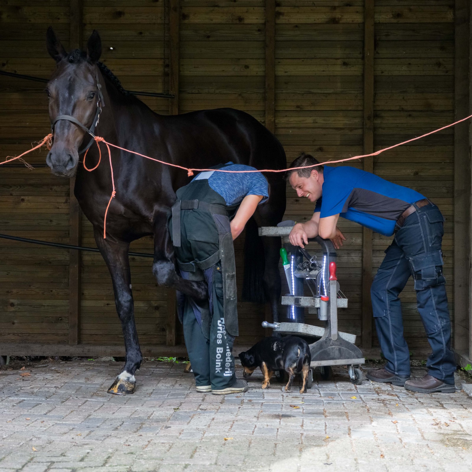 Hoe word ik Hoefsmid? – NVvH
